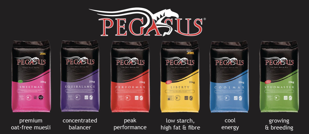 Pegasus Coolmax a Great “All-Rounder” Feed for Pleasure and Performance ...